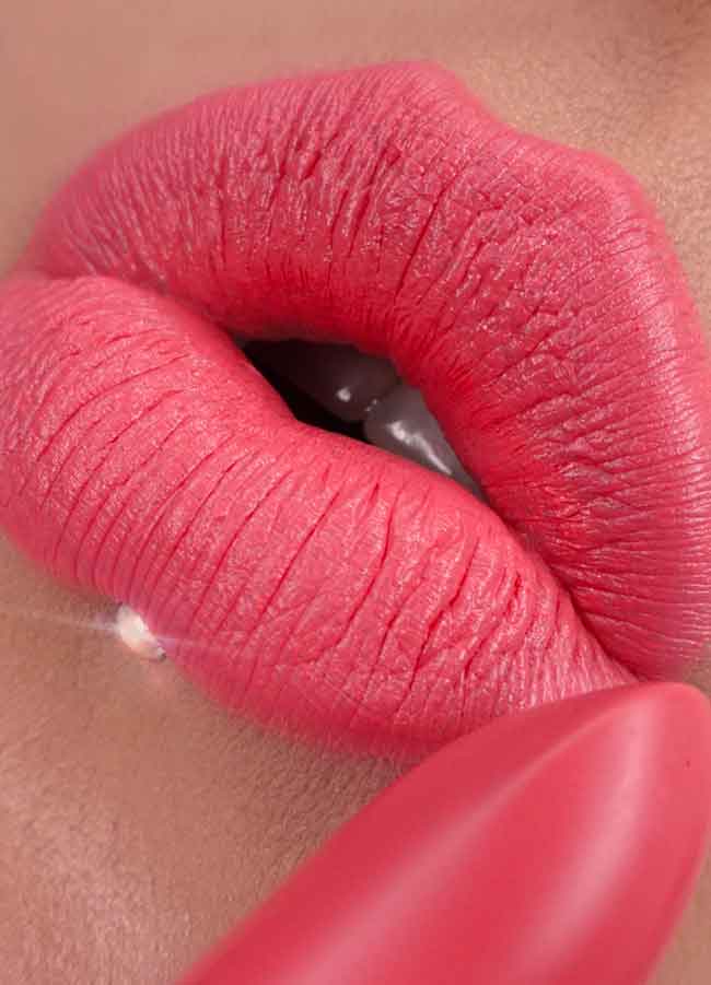 MATTE LIPSTICK ETIQUETTE PROFOUND COLLECTION
